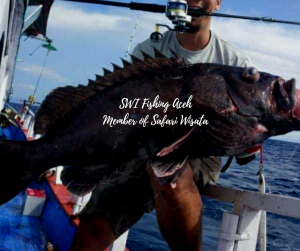 Fishing in Rondo Island - SWI Fishing Charters - Safari Wisata ...