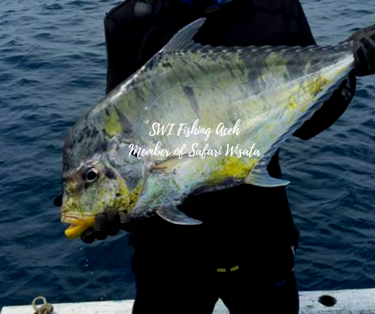 Aceh Island – Rondo Island & Banyak Islands Fishing Package 8 Days 7 ...