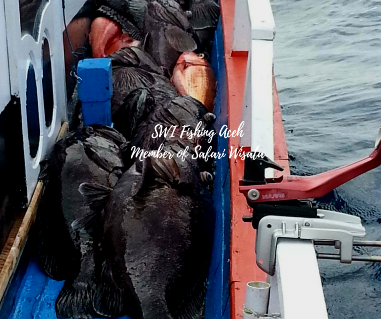 Rondo Island & Weh Island Fishing Package 4 Days 3 Nights - SWI Fishing ...