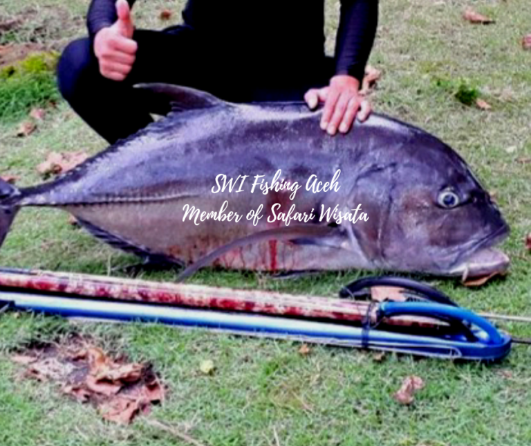 Weh Island & Rondo Island Fishing Package 5 Days 4 Nights - SWI Fishing ...
