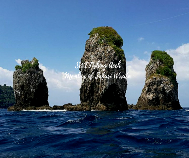 Fishing in Rondo Island - SWI Fishing Charters Indonesia - Safari ...