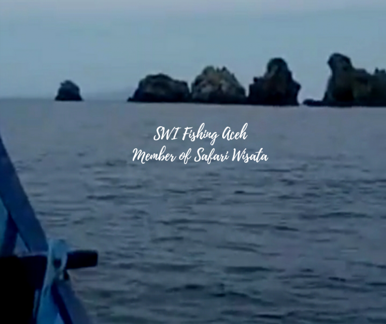 Fishing in Rondo Island - SWI Fishing Charters Indonesia - Safari ...