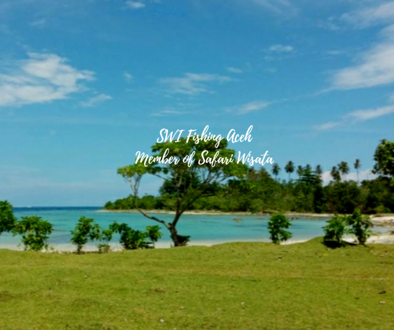 Fishing in Simeulue Island - SWI Fishing Charters Indonesia - Safari ...