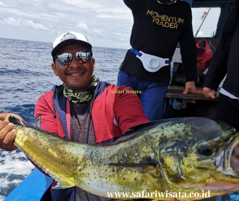 12 Best Fish to Catch in Indonesia & Aceh – Top Fishing Target in ...