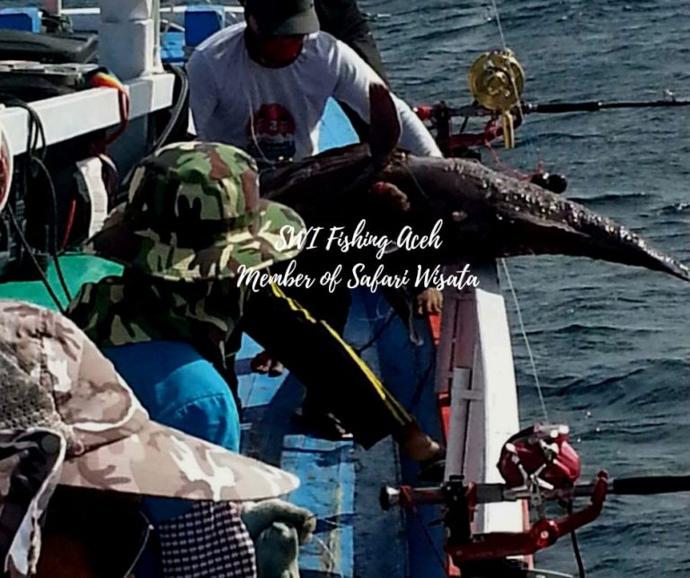 Rondo Island & Weh Island Fishing Package 4 Days 3 Nights - SWI Fishing ...