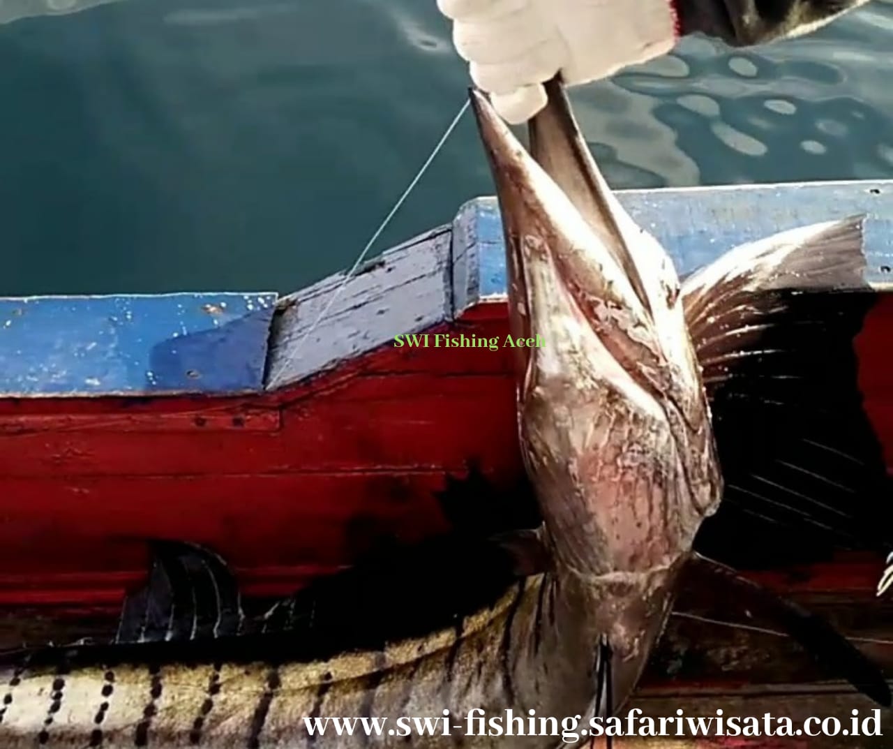Fishing Pictures & Videos - SWI Fishing Charters Indonesia - Safari ...