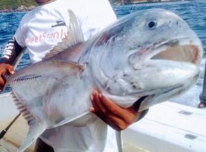 Fishing in Indonesia – 25 Best Indonesia Fishing Spots & Top Sport ...