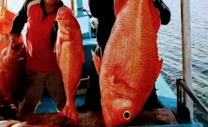 Fishing in Indonesia – 25 Best Indonesia Fishing Spots & Top Sport ...