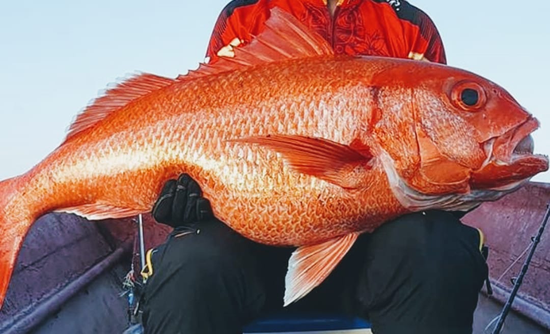 Fishing in Indonesia – 25 Best Indonesia Fishing Spots & Top Sport ...