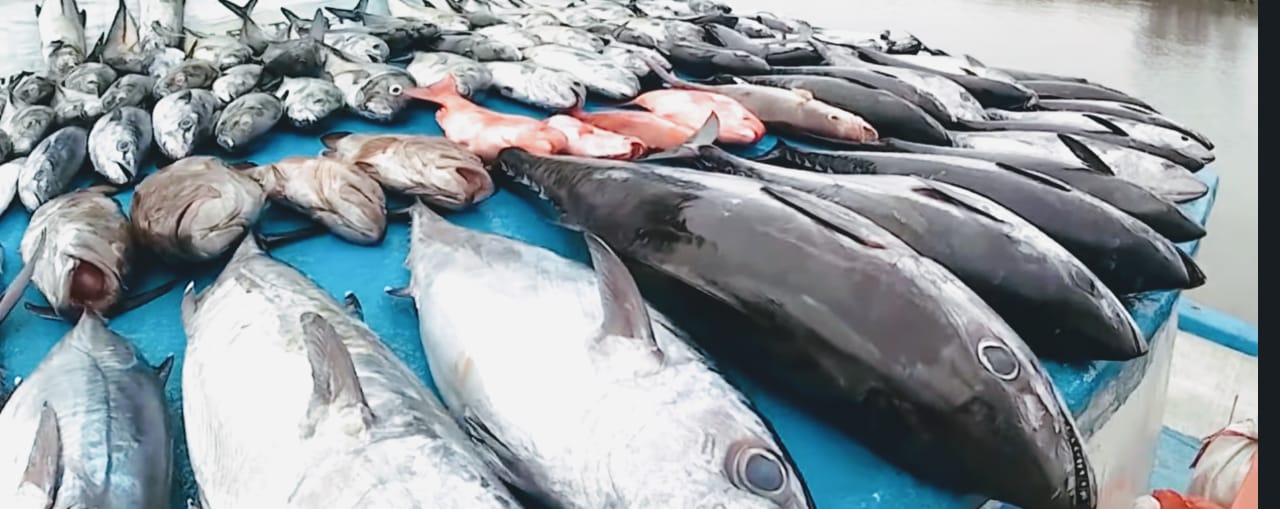 Fishing in Indonesia – 25 Best Indonesia Fishing Spots & Top Sport ...