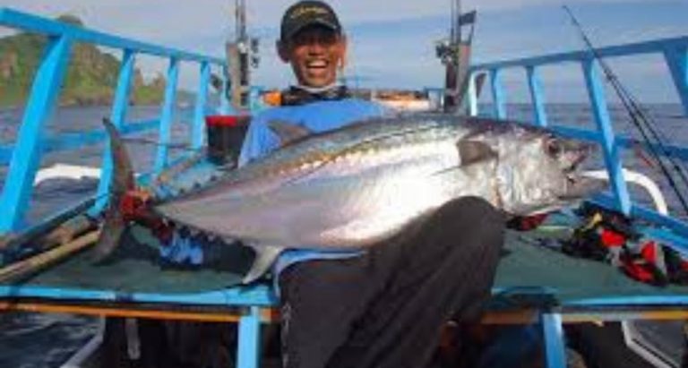 Fishing in Indonesia – 25 Best Indonesia Fishing Spots & Top Sport ...