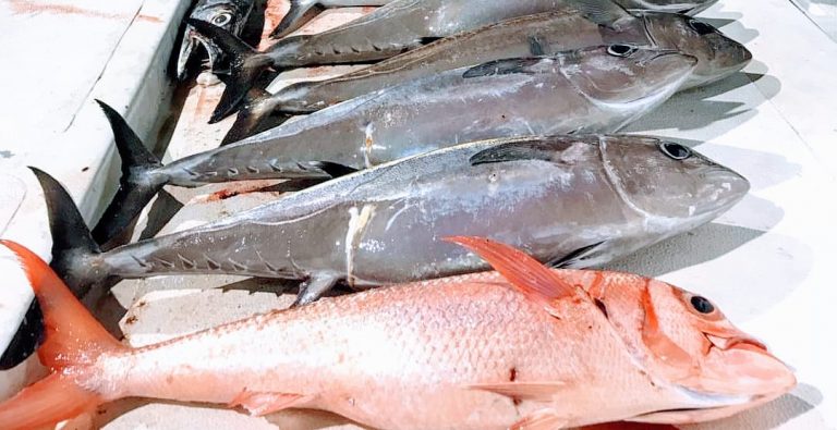 Fishing in Indonesia – 25 Best Indonesia Fishing Spots & Top Sport ...