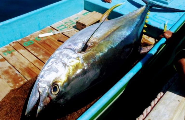 Fishing in Indonesia – 25 Best Indonesia Fishing Spots & Top Sport ...