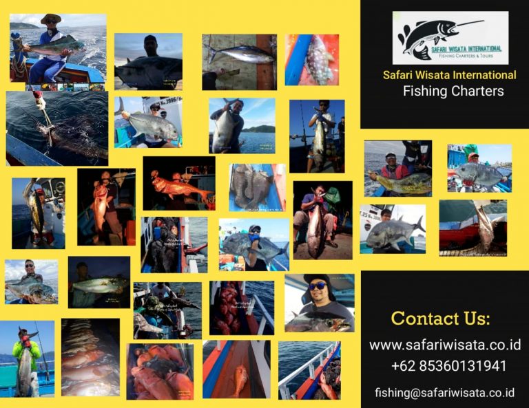 Fishing in Bali, Indonesia – Best Bali Fishing Trip Charters & Angling ...