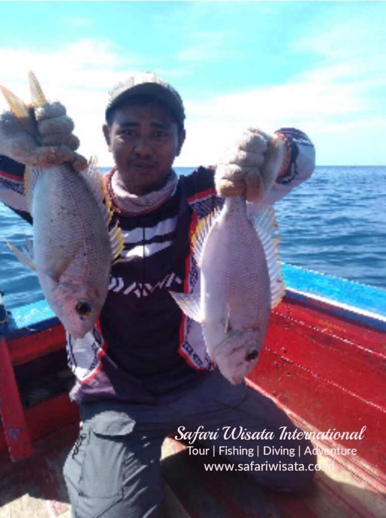 Rondo Island & Weh Island Fishing Package 4 Days 3 Nights - SWI Fishing ...