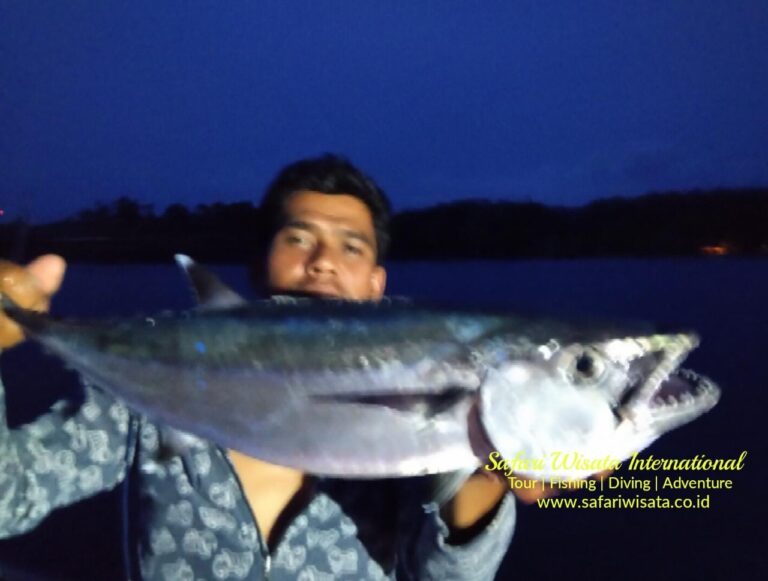 Rondo Island & Weh Island Fishing Package 4 Days 3 Nights - SWI Fishing ...