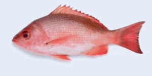 Fishing in Tioman Island, Malaysia: Best Spots, Trips & Deep Sea ...