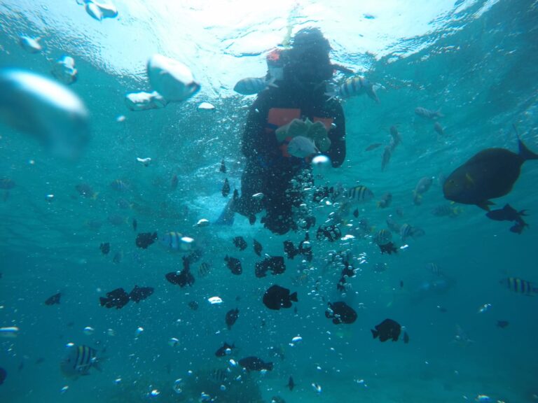 Fishing in Tioman Island, Malaysia: Best Spots, Trips & Deep Sea ...