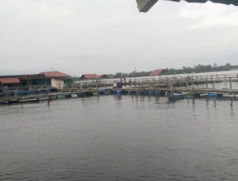 Fishing in Malaysia: 40 Best Spots, Trip, fish to catch, Malaysia ...