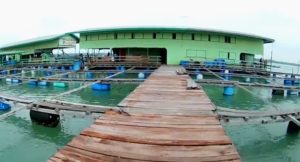 Fishing in Malaysia: 40 Best Spots, Trip, fish to catch, Malaysia ...