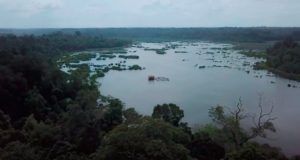 Fishing in Malaysia: 40 Best Spots, Trip, fish to catch, Malaysia ...