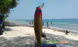 Casting Fishing Technique | All you need to know about Casting Method ...