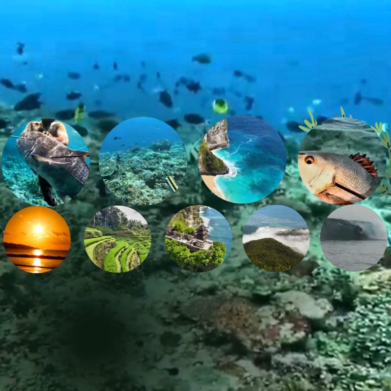 Spearfishing in Lovina Bali - SWI Fishing Charters Indonesia - Safari ...