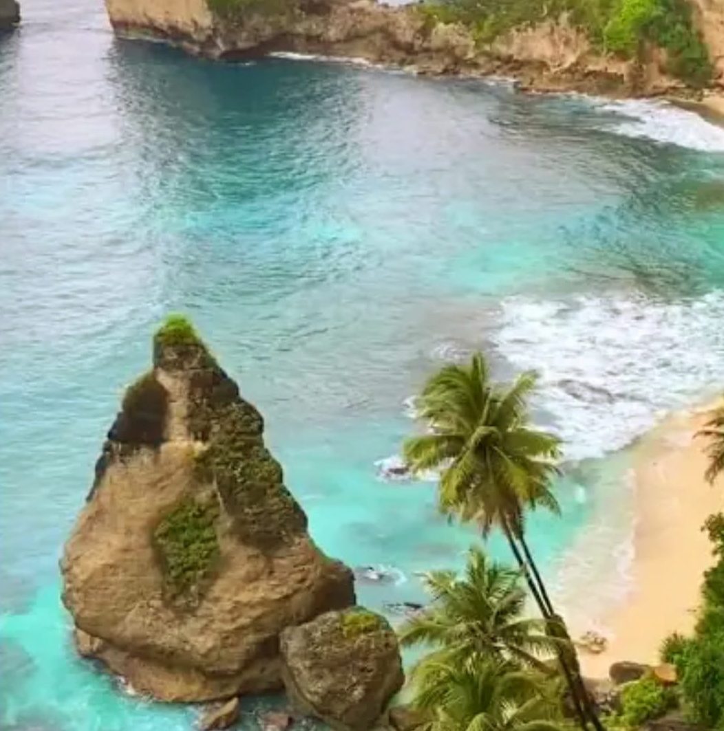 Spearfishing in Nusa Penida Bali: A guide to Nusa Penida Spearfishing ...