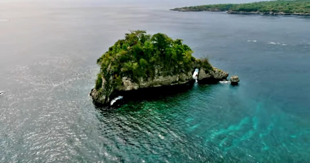Spearfishing in Nusa Penida Bali: A guide to Nusa Penida Spearfishing ...